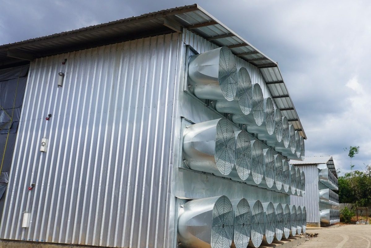 Perbedaan Box Fan dan Cone Fan Untuk Ternak Ayam - Berdikari Poultry